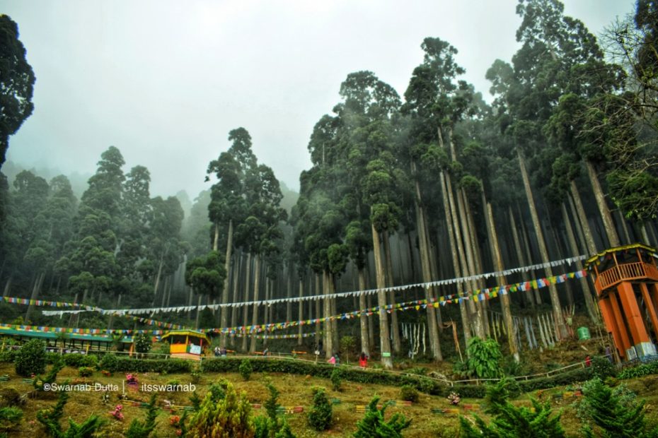 9 Beautiful Tourist Attractions Near Takdah (Darjeeling)