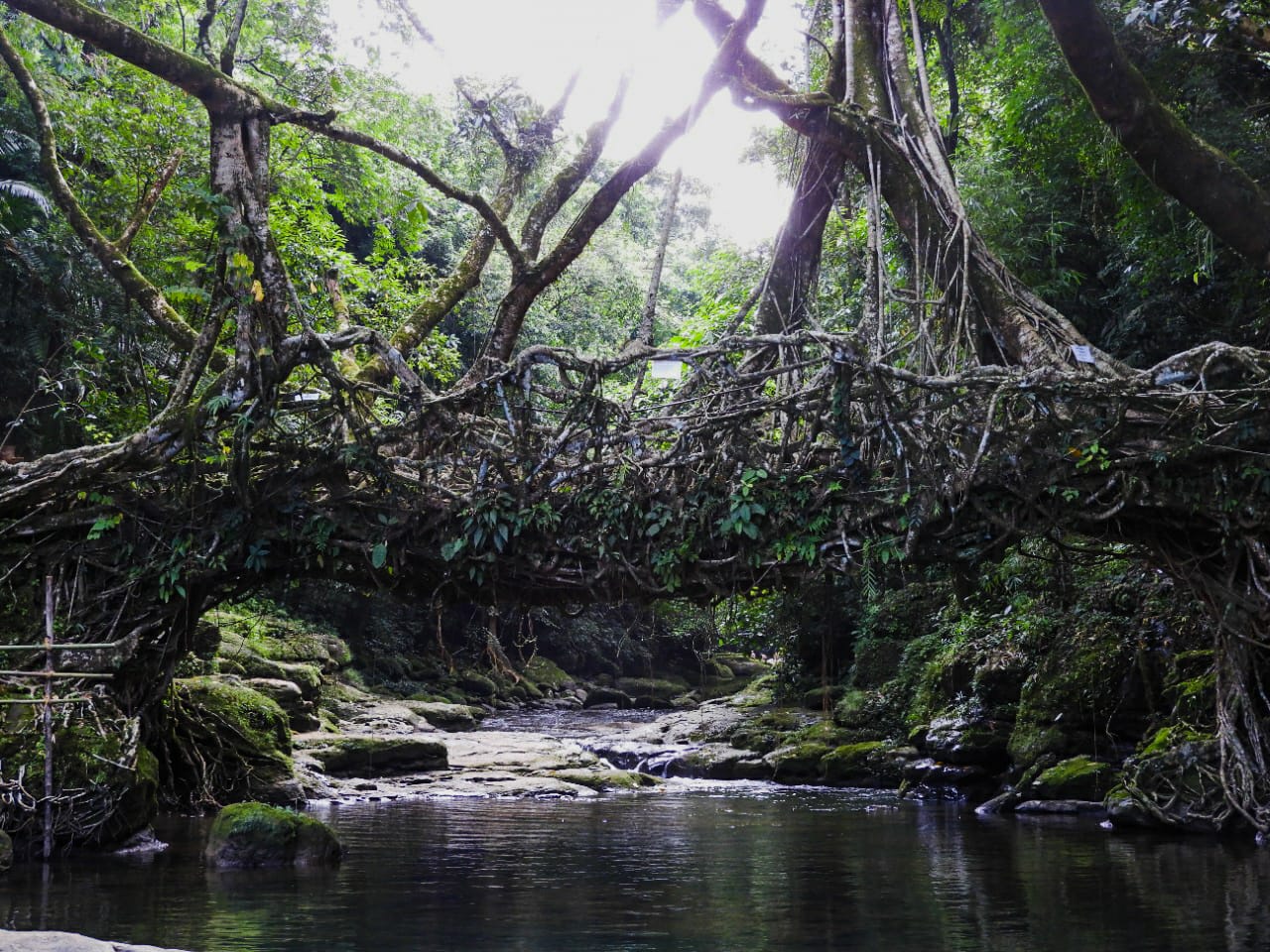 Mawlynnong (Meghalaya) - Homestays, Village, Things To Do