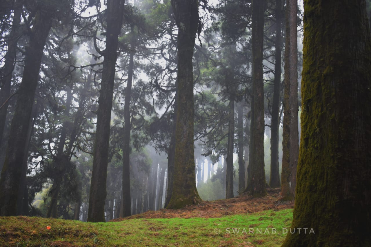 Lepchajagat (Darjeeling) - 7 Points You Must Know About