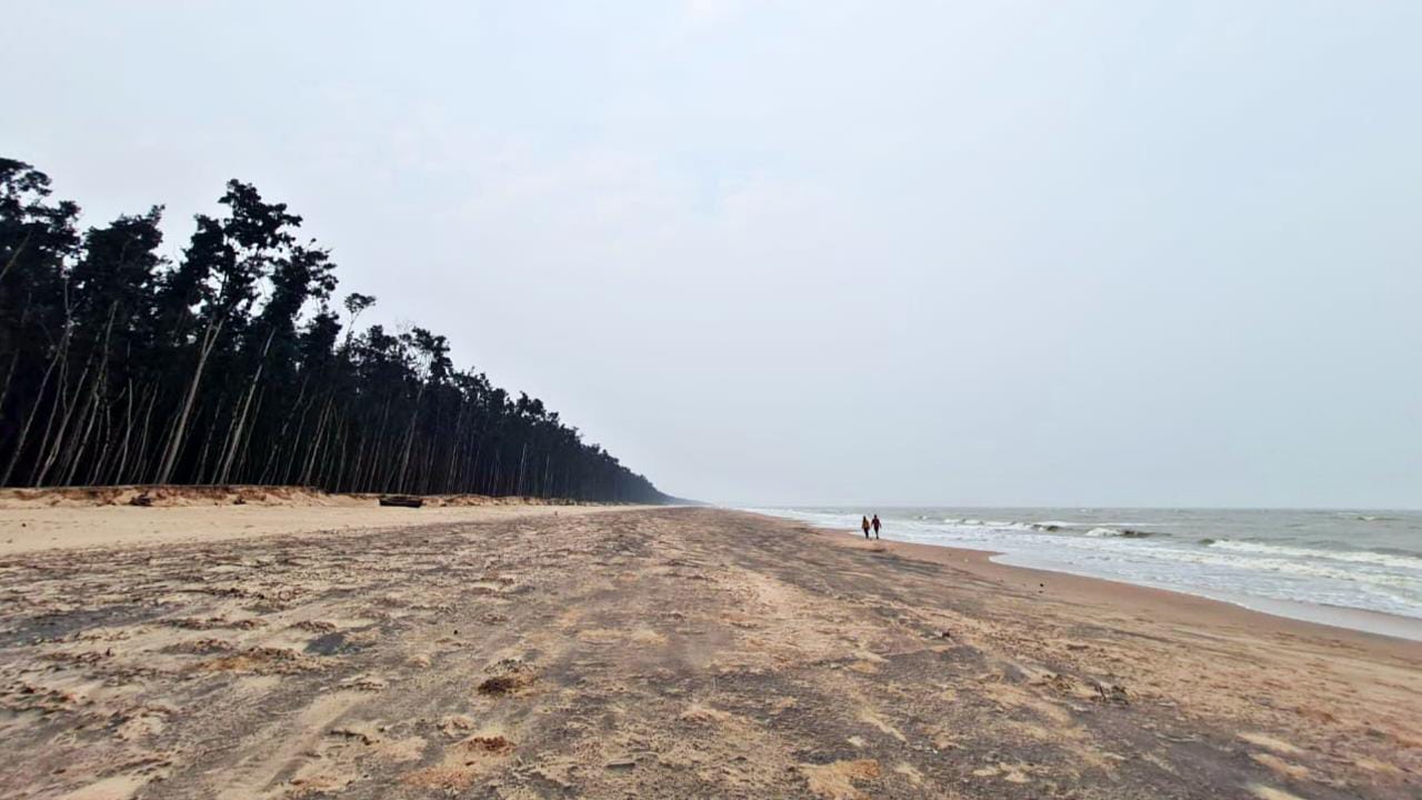 Bagda Beach Near Balasore (Odisha) - 6 Points To Know - swarnabdutta.com