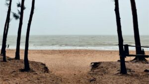 Bagda Beach Near Balasore (Odisha) - 6 Points To Know - swarnabdutta.com