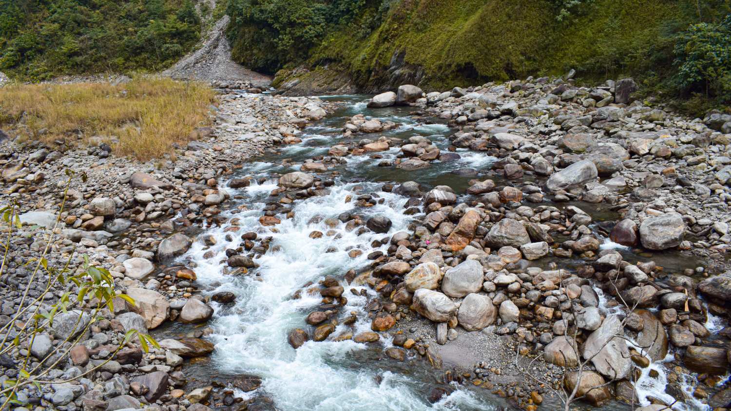 Dooars 7 Point Sightseeing Tour (In 1-Day) - Cost, Itinerary