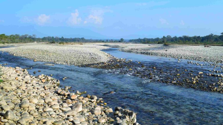Dooars 7 Point Sightseeing Tour (In 1-Day) - Cost, Itinerary