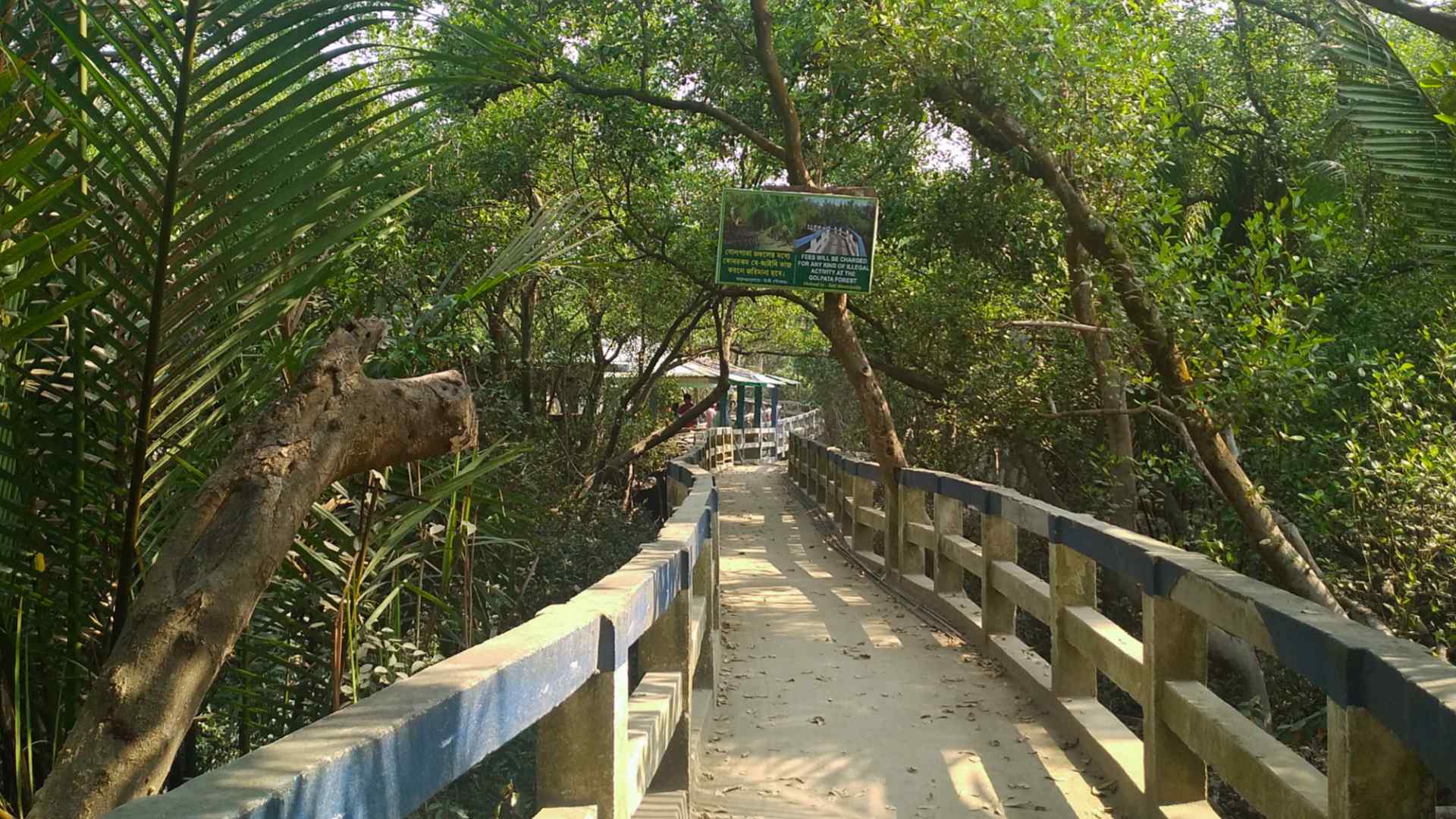 Golpata Forest Taki (West Bengal) | Golpatar Jungle Tour