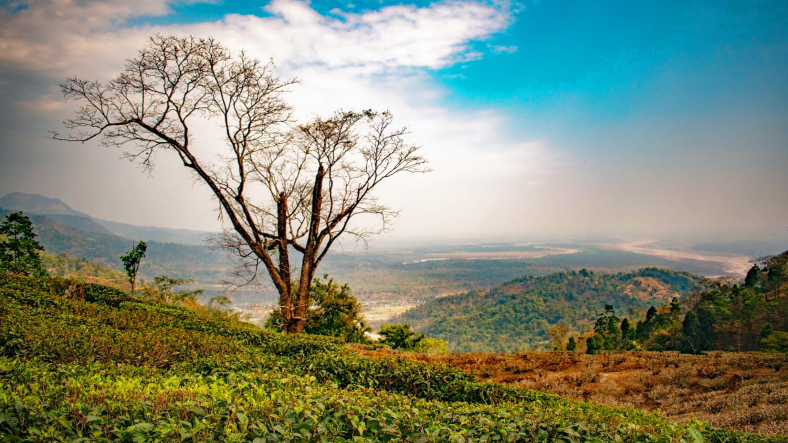 7 Best Places To Visit In Mirik (Darjeeling) West Bengal