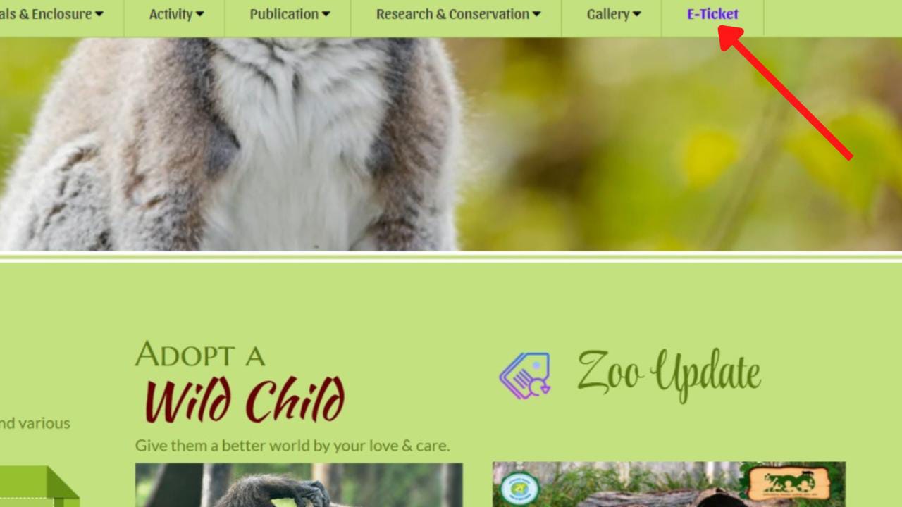 How To Book Alipore Zoo Kolkata Tickets Online (In 4 Steps)
