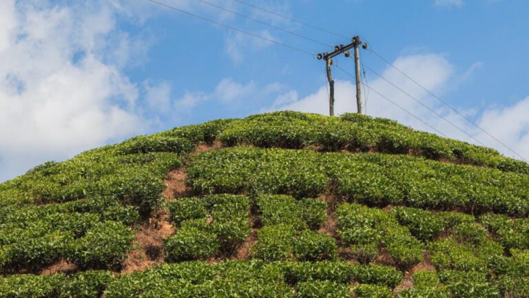 Ajodhya Hills (Purulia) - Resorts, Things To Do, Best Time To Visit