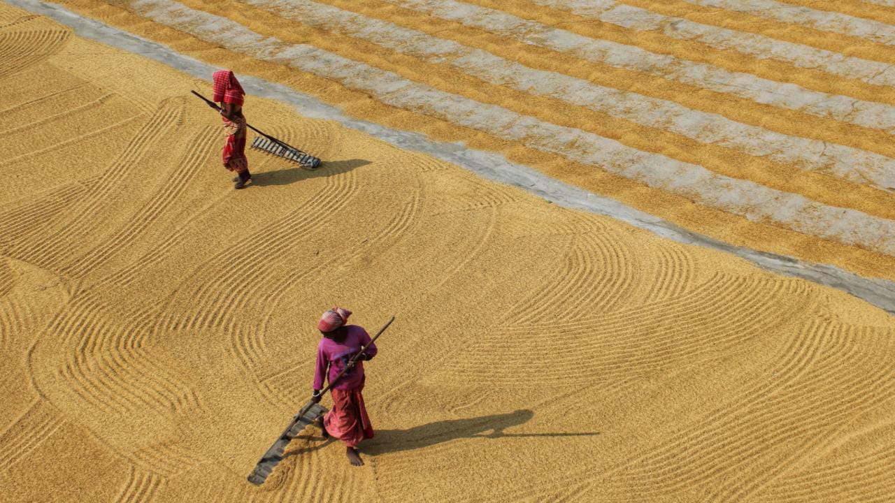 Top 10 Places to Visit in North 24 Parganas (West Bengal)