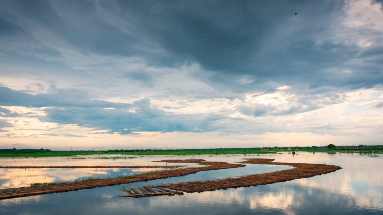 10 Things Kolkata is Famous for | Reasons To Visit Kolkata