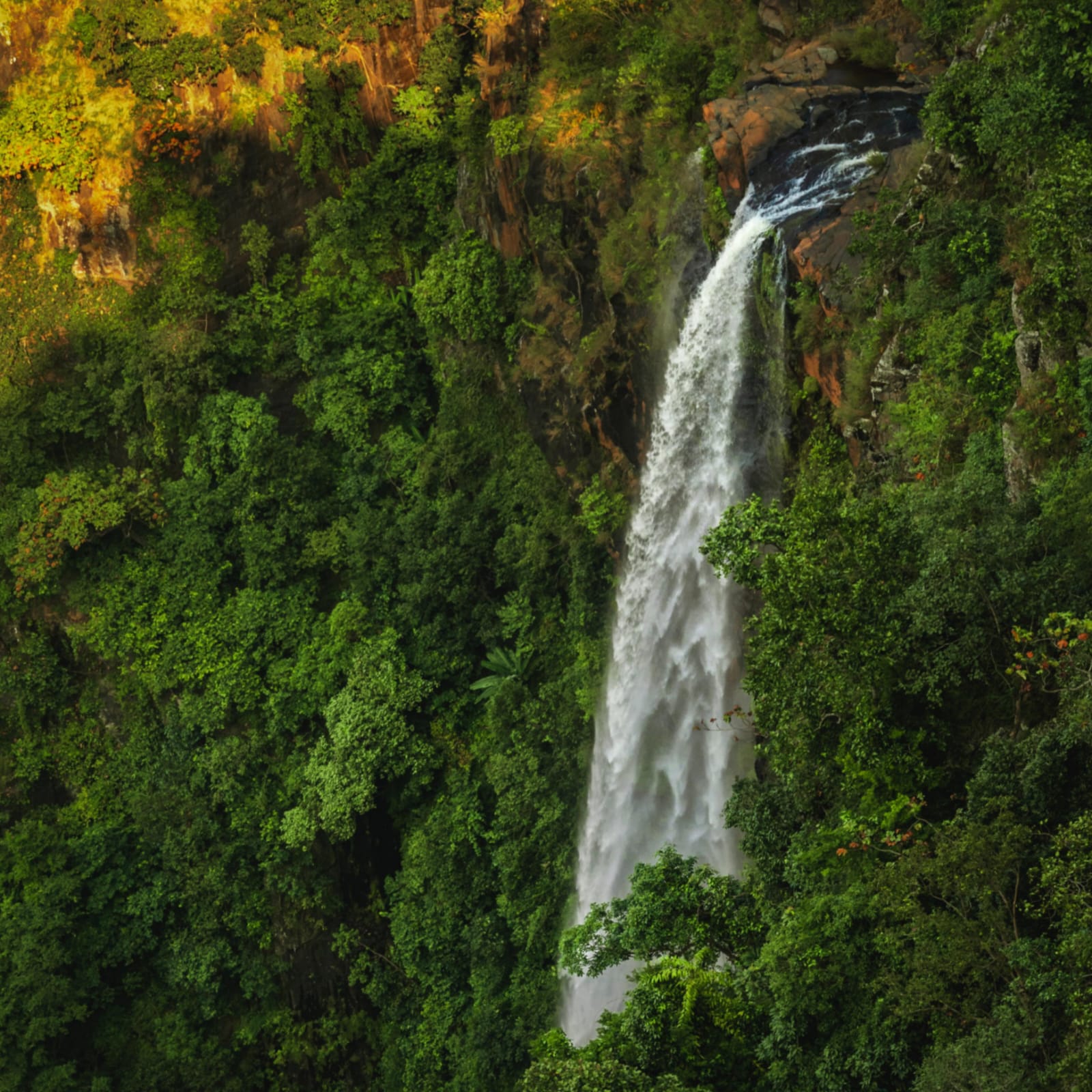 Bangriposi (Odisha) - How To Reach, Resorts, Attractions