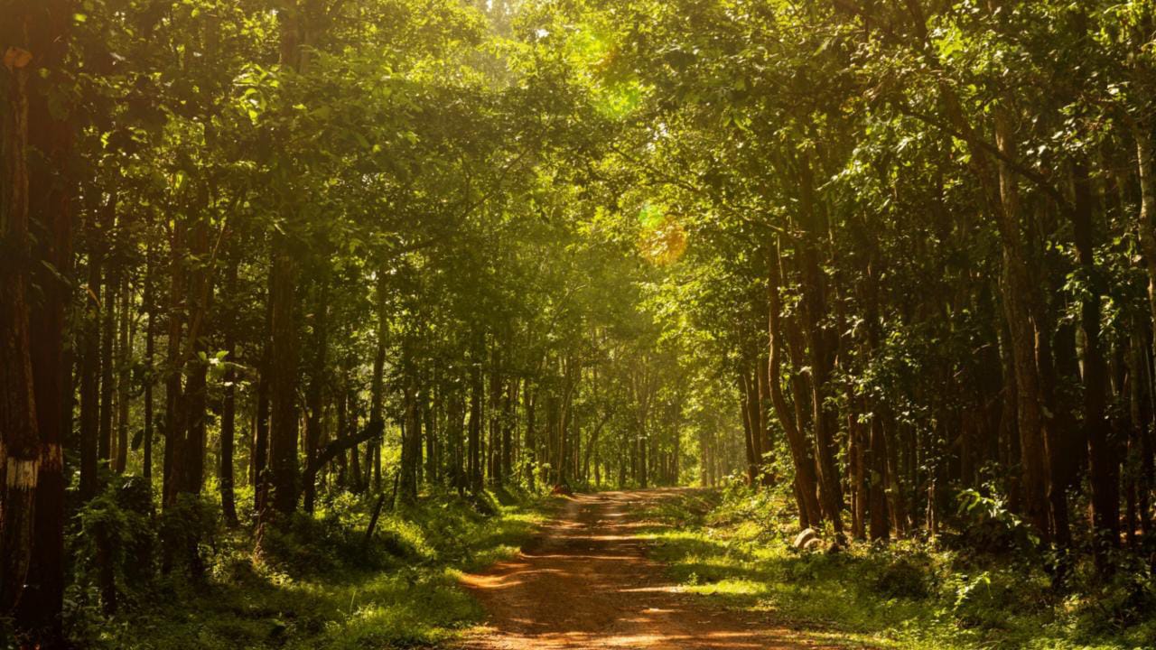6 Best Places To Visit In Keonjhar (Odisha) - swarnabdutta.com